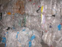 Magic Falcon Limited