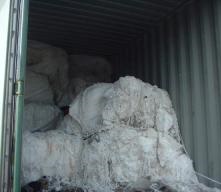 Magic Falcon Limited